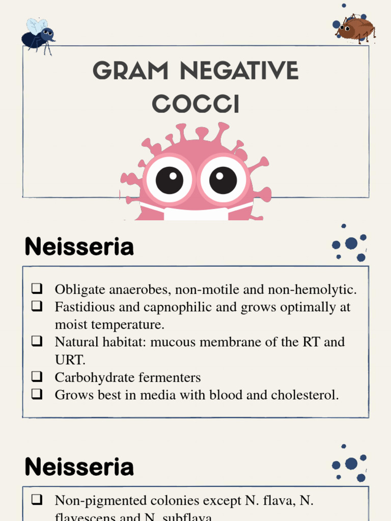 Gram Negative Cocci | PDF | Medical Specialties | Microbiology