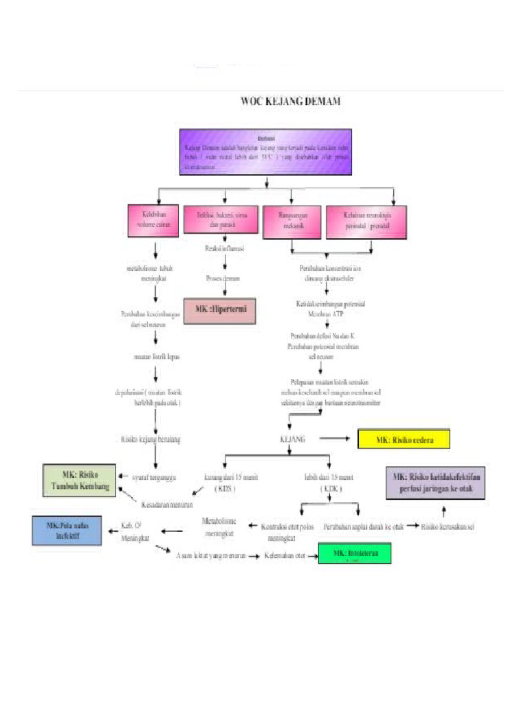 Woc Kejang Demam | PDF