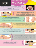 Maniobra de Ritgen | PDF | Parto | Reproducción