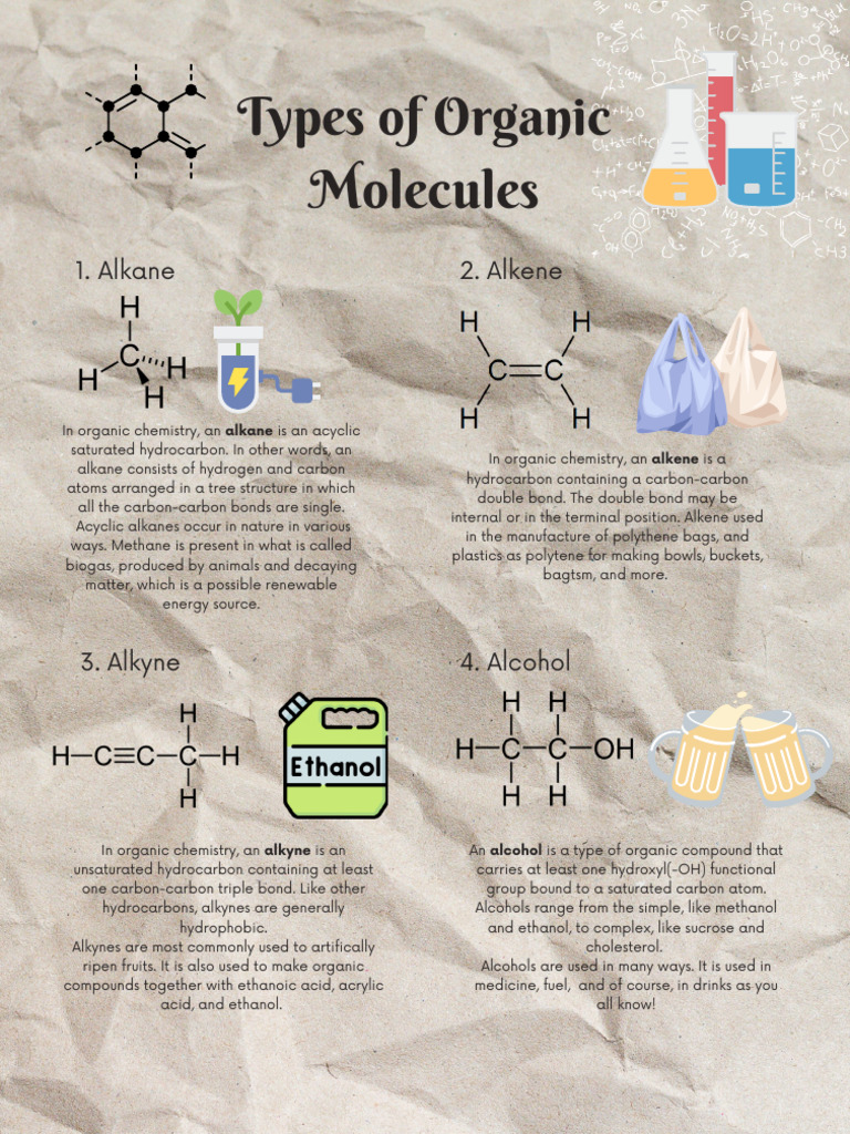 O-CHEM Infographic Activity | PDF | Amine | Ketone