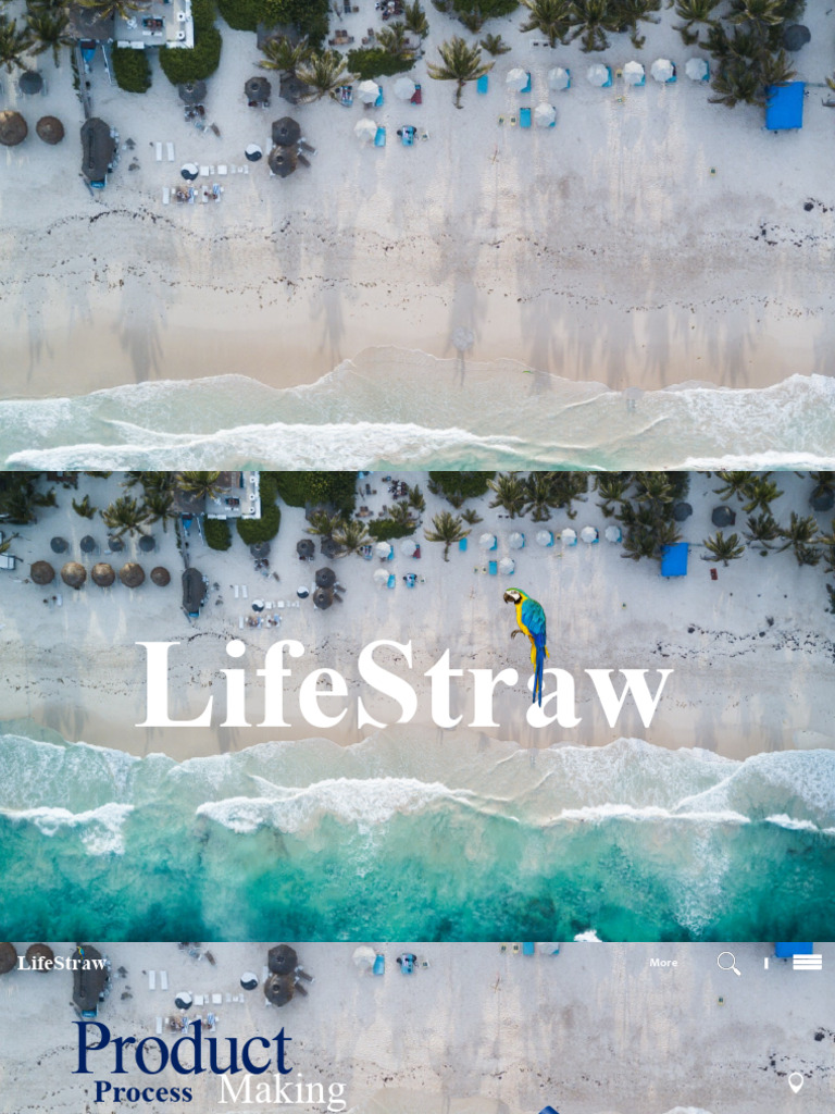Life Straw | PDF | Filtration | Prices