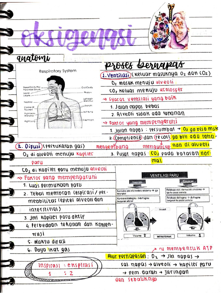 Catatan Oksigenasi | PDF