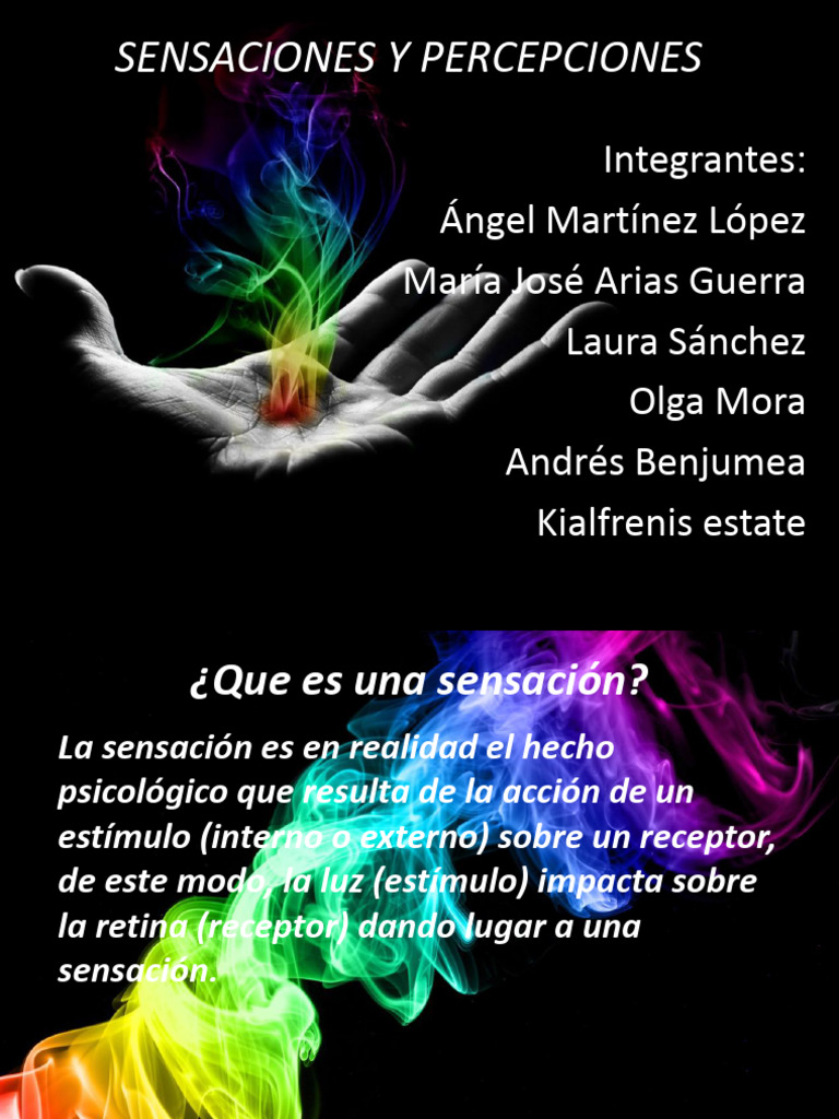 Sensaciones y Percepciones: Guía Básica | PDF | Percepción | Sentidos