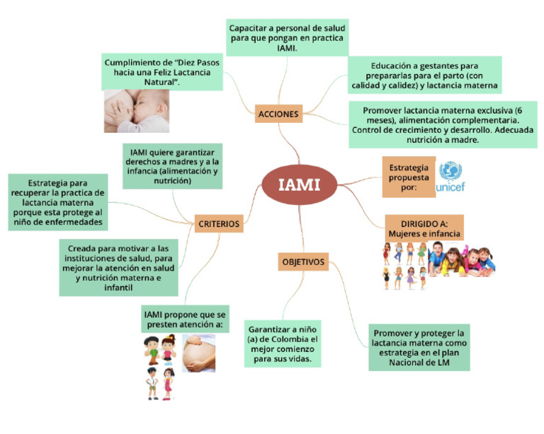 Mapa Mental IAMI | PDF