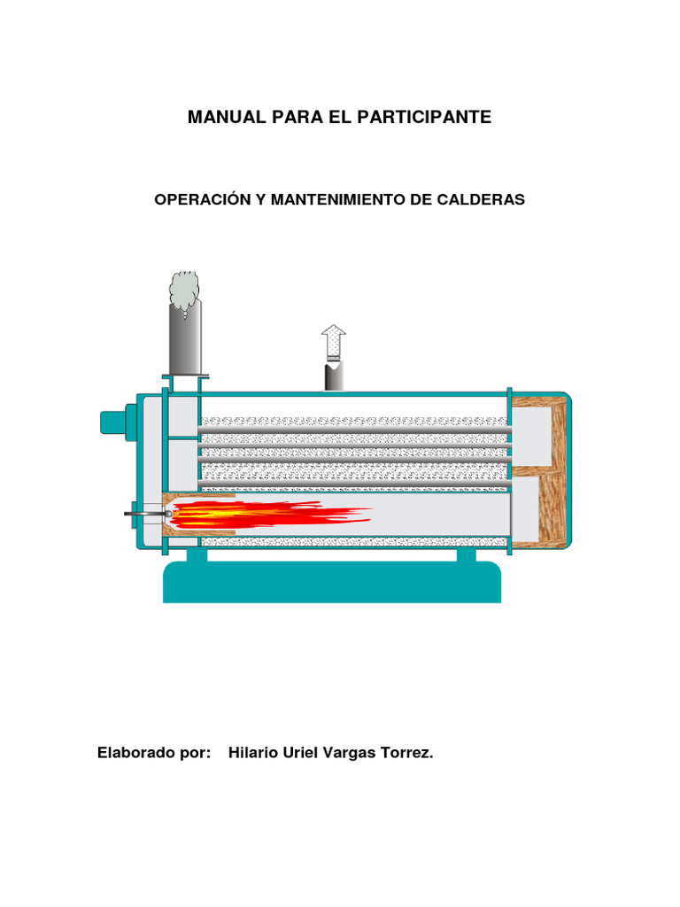 Manual de Mantenimiento de Calderas | PDF | Combustibles | Combustión