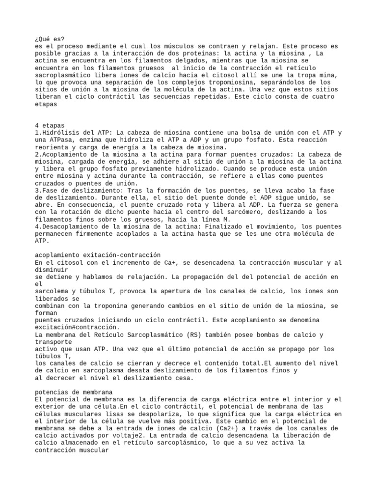 Ciclo Contráctil Muscular: Proceso y Etapas | PDF | Actina | Músculo ...