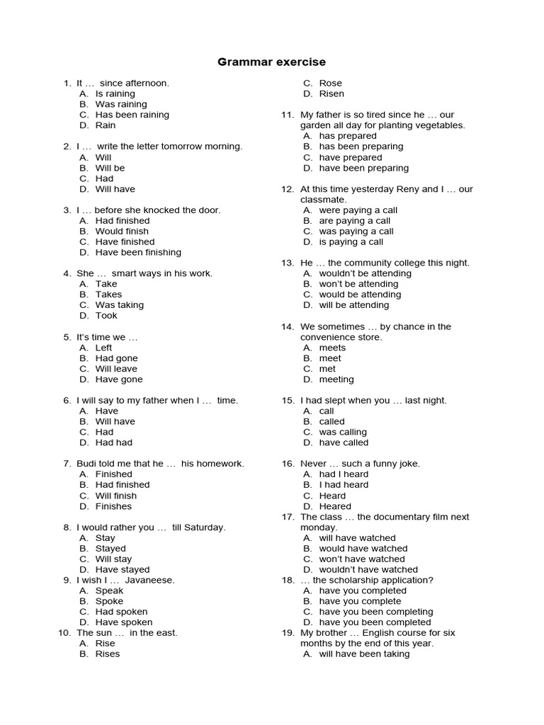 Grammar Exercise | PDF