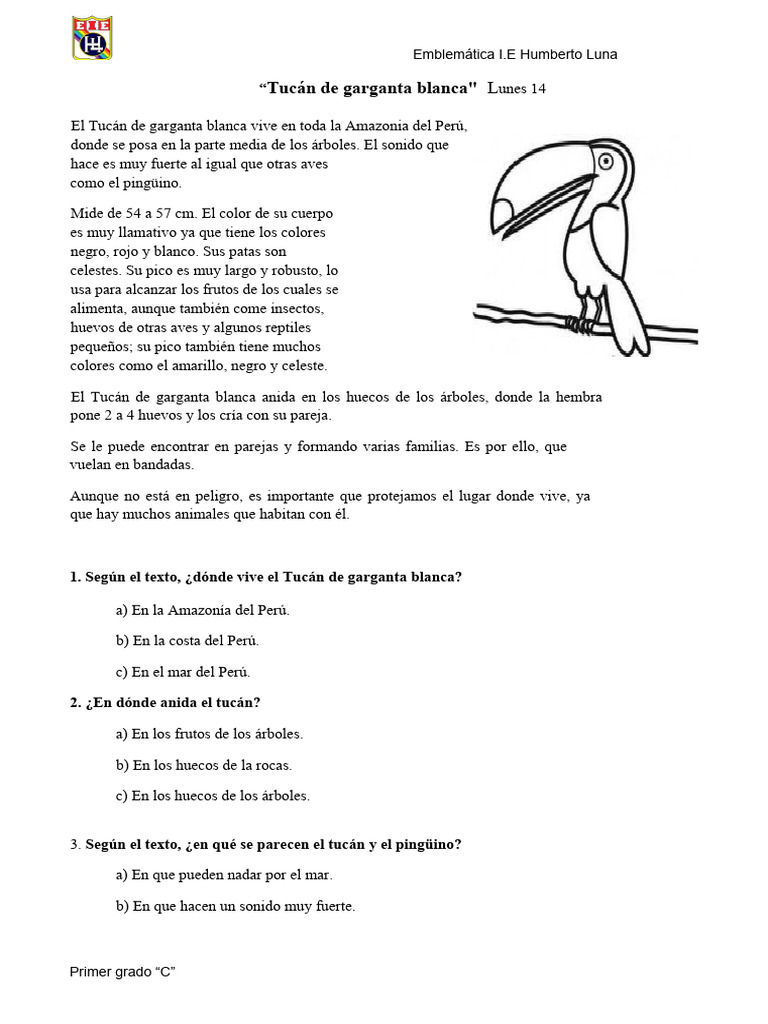 Textos Descriptivos | PDF | Osos | Aves