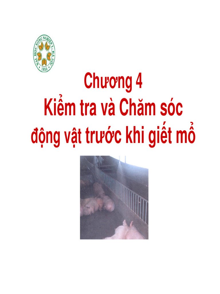 Tailieuchung Chuong 4 Kiem Tra Va Cham Soc Gia Suc Truoc Giet Mo 2009 50abc 8479 | PDF