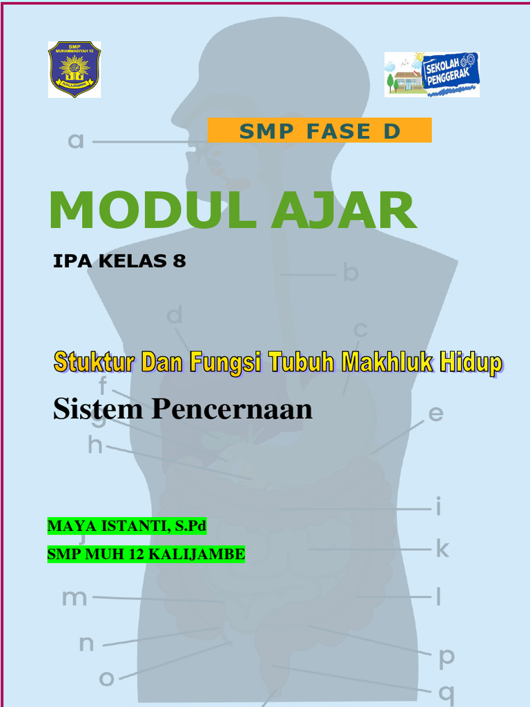 Modul Ajar Ilmu Pengetahuan Alam (IPA) - Modul Ajar Sistem Pencernaan ... Modul Ajar Ilmu Pengetahuan Alam (IPA) - Modul Ajar Sistem Pencernaan ...