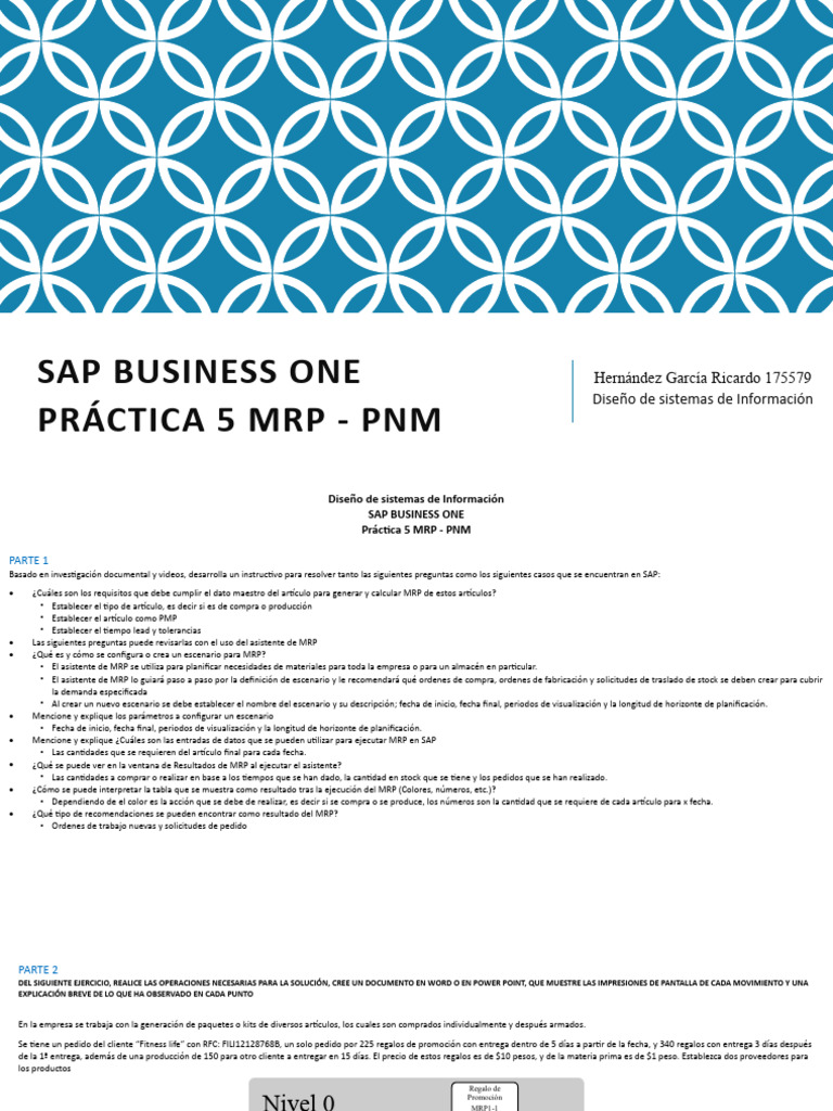 Práctica 5 MRP - PNM | PDF