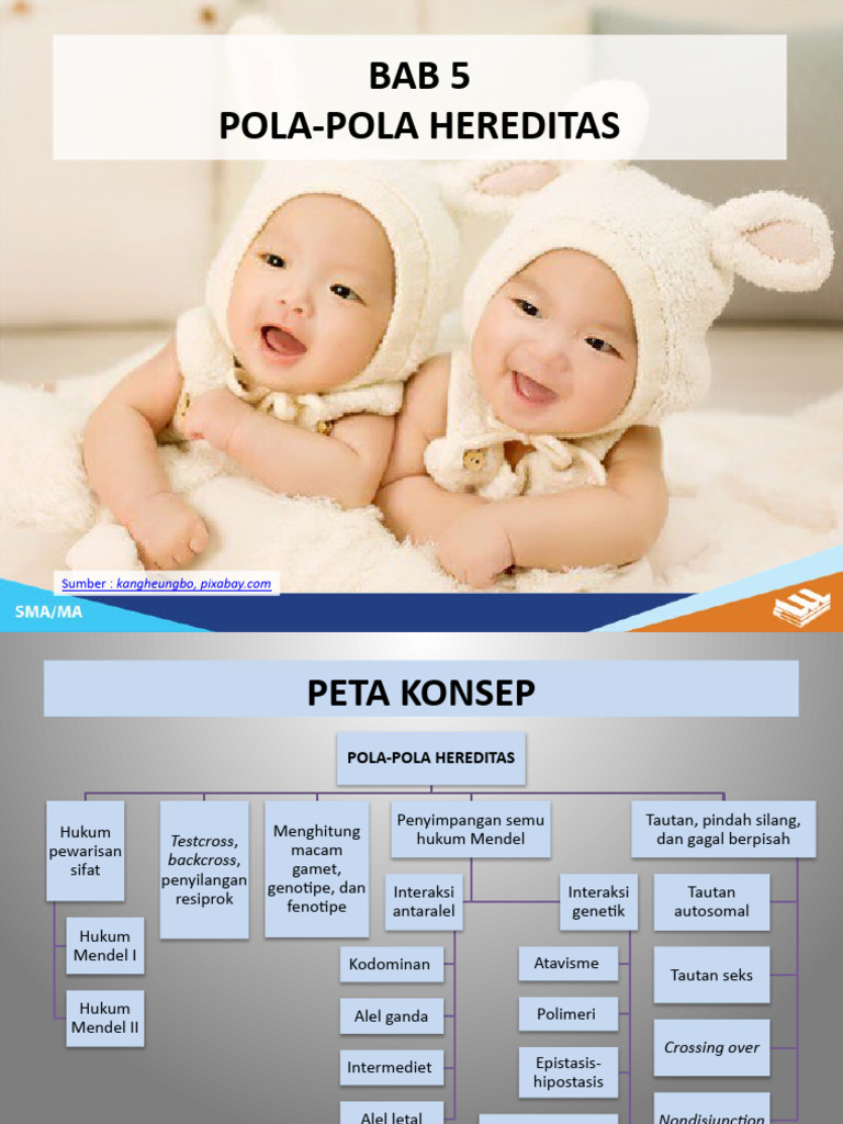 Bab 5 Pola-Pola Hereditas | PDF