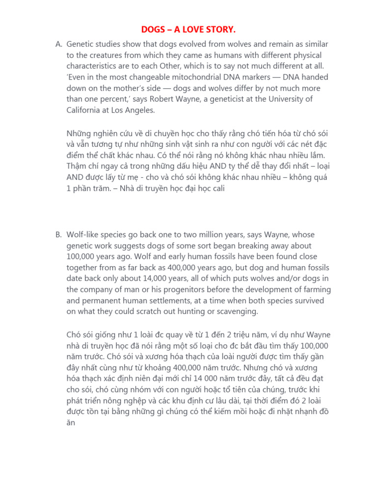 Dogs A Love Story | PDF