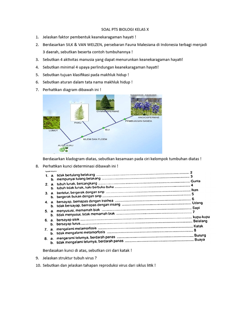 Soal PTS Biologi Kelas X | PDF