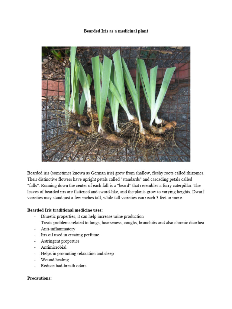 Bearded Iris As A Medicinal Plant | PDF