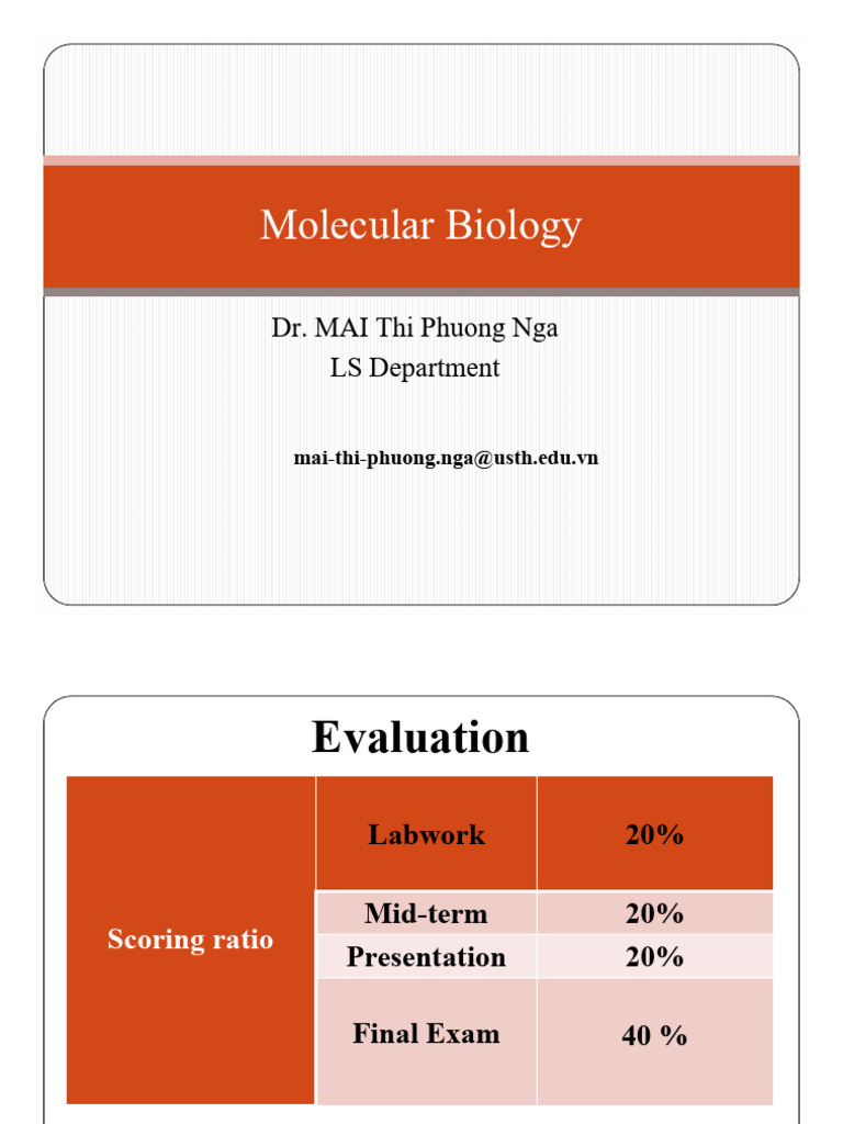Lecture 1 2 | PDF | Dna | Point Mutation