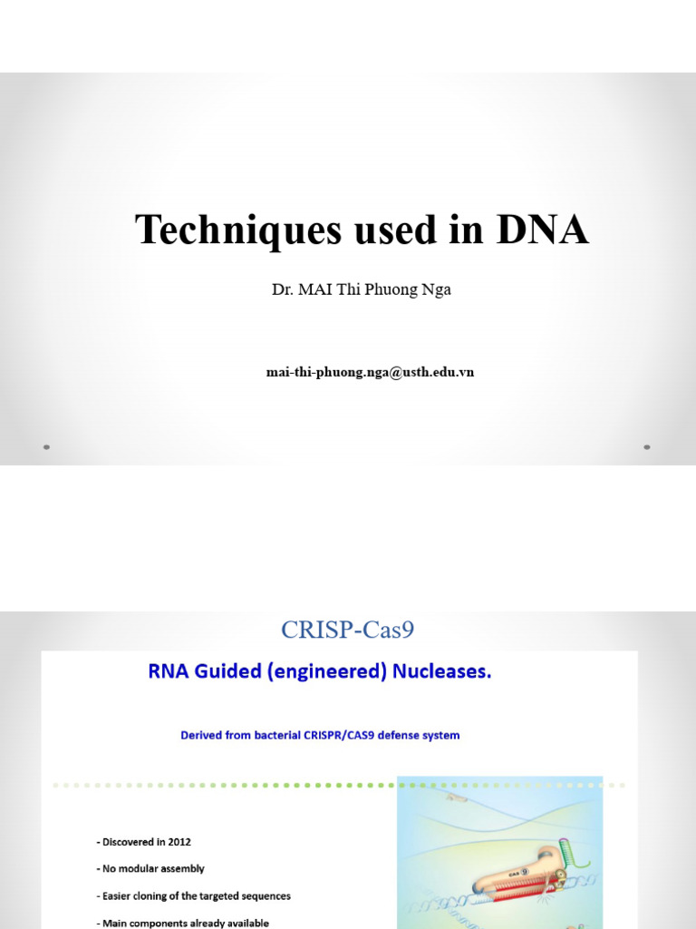 Lecture 3 4 | PDF | Agarose Gel Electrophoresis | Gel Electrophoresis