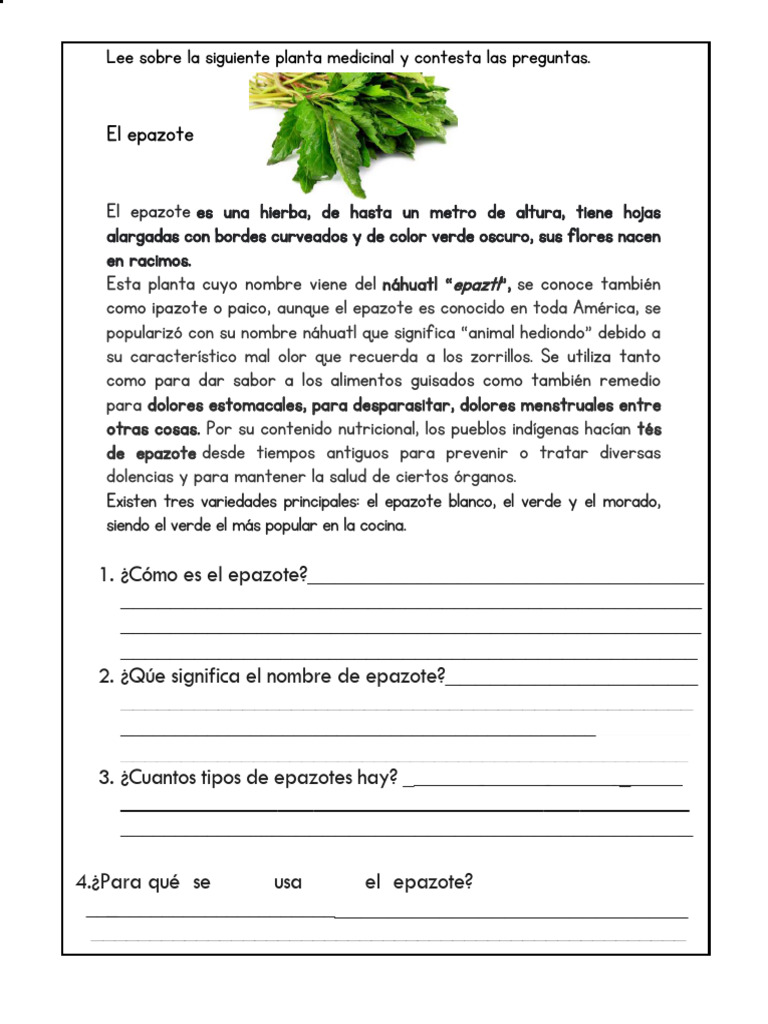 Beneficios y Usos del Epazote | PDF | Ciencia y matemáticas