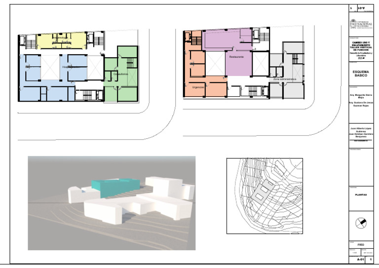 Esquema Basico: Imagenologia | PDF