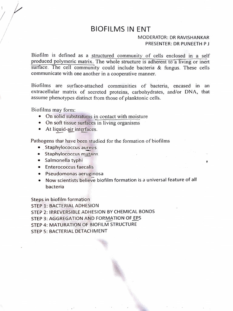 Biofilms in Ent | PDF | Biofilm | Bacteria