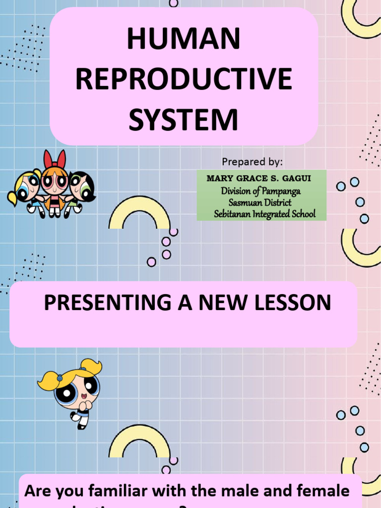 SCIENCE 5-Human Reproductive System | PDF | Reproductive System | Testicle