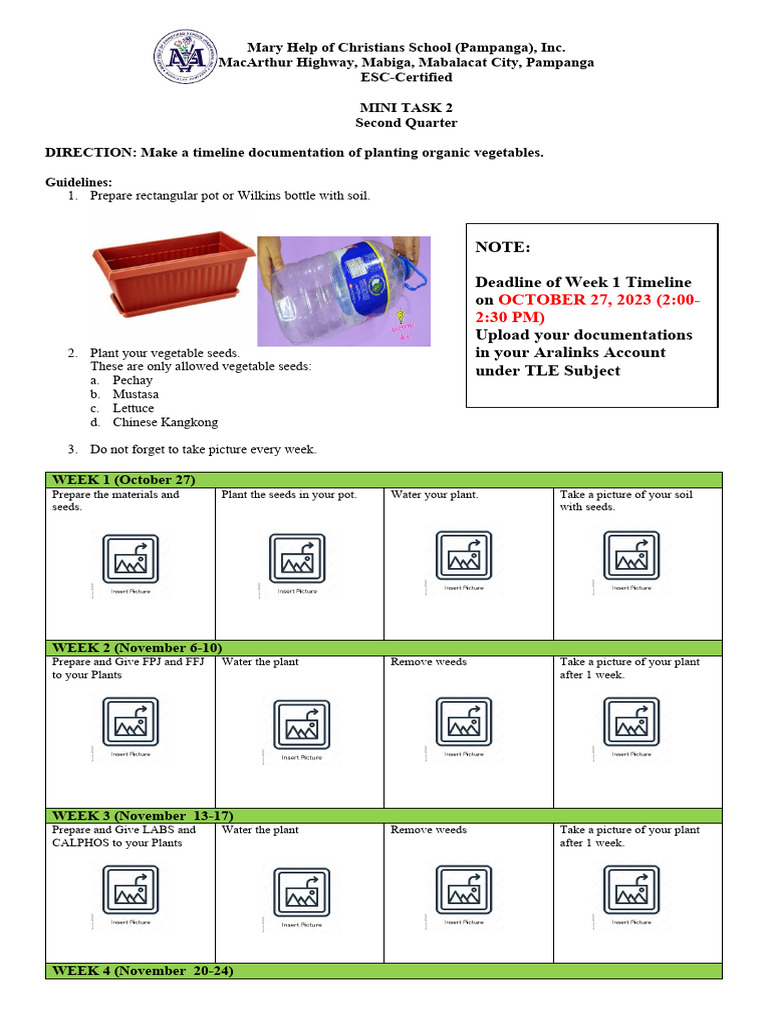 2ND Q - Tle 6 - Mini Task 2 1 | PDF | Vegetables | Food Industry 2ND Q - Tle 6 - Mini Task 2 1 | PDF | Vegetables | Food Industry