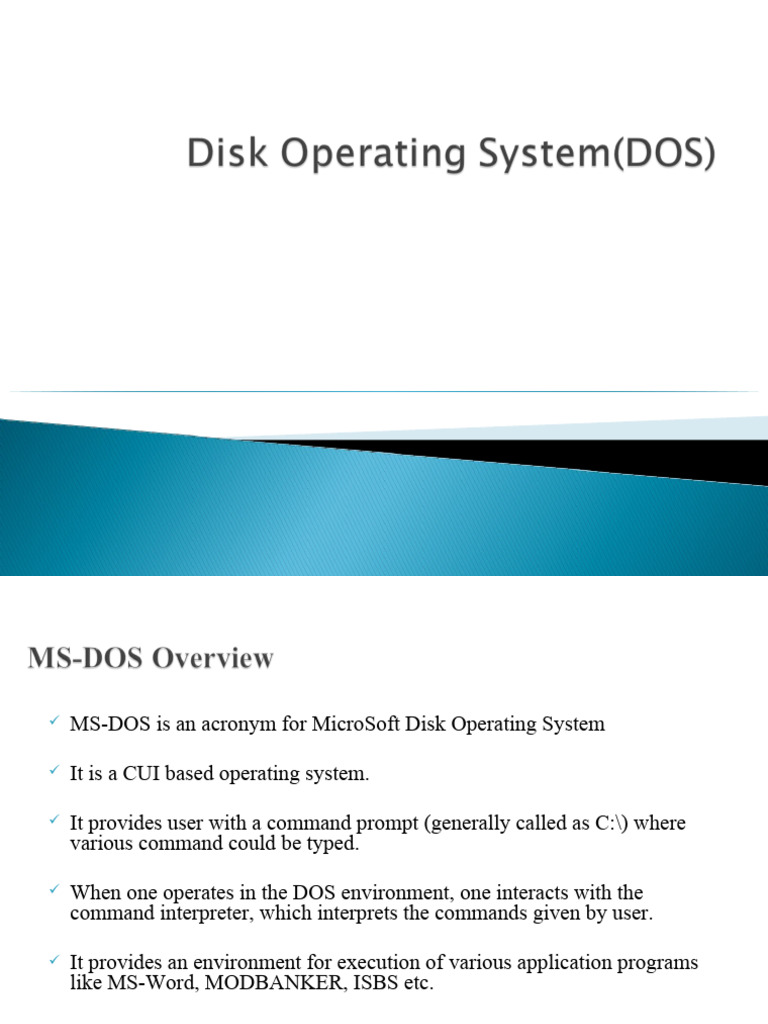 Disk Operating System | PDF | Computer File | Command Line Interface