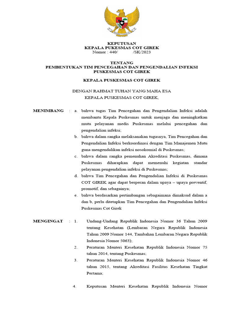 SK Ppi | PDF | Kesehatan Holistik