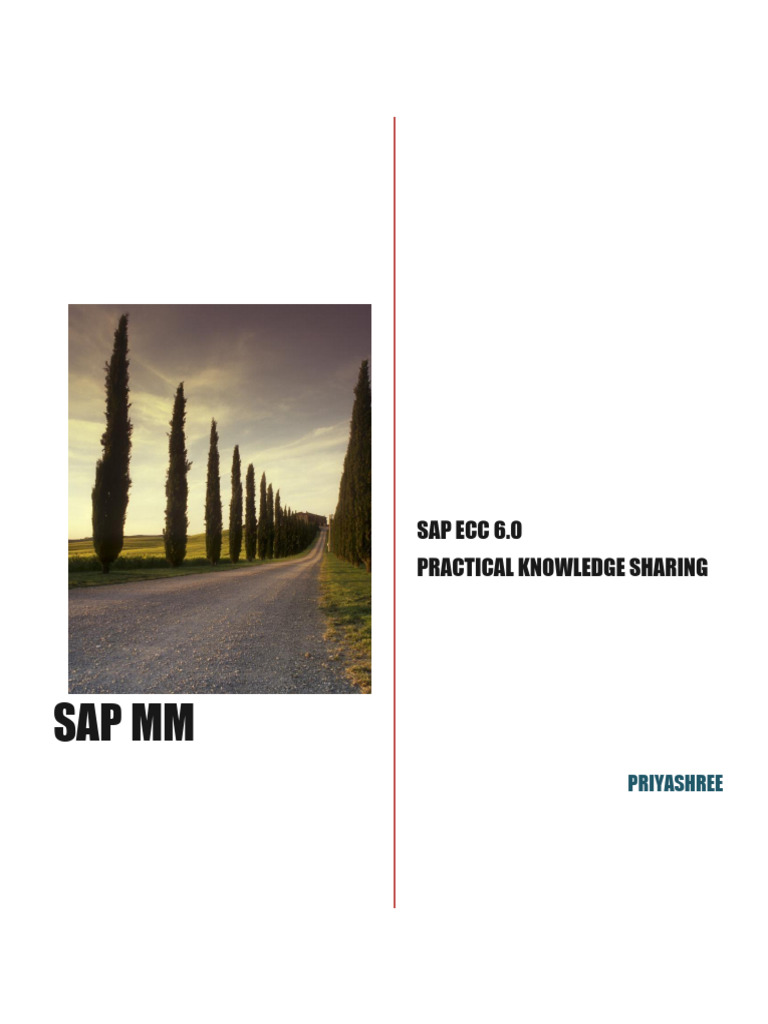 Sap MM - Project | PDF | Databases | Application Software