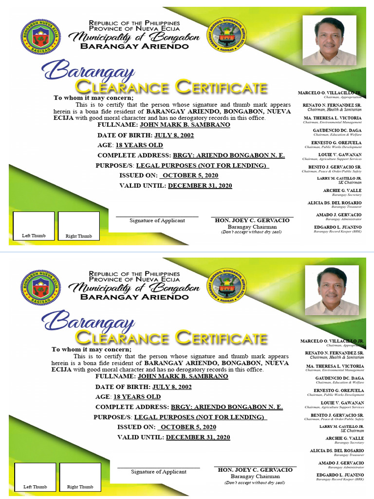 Brgy Clearance | PDF