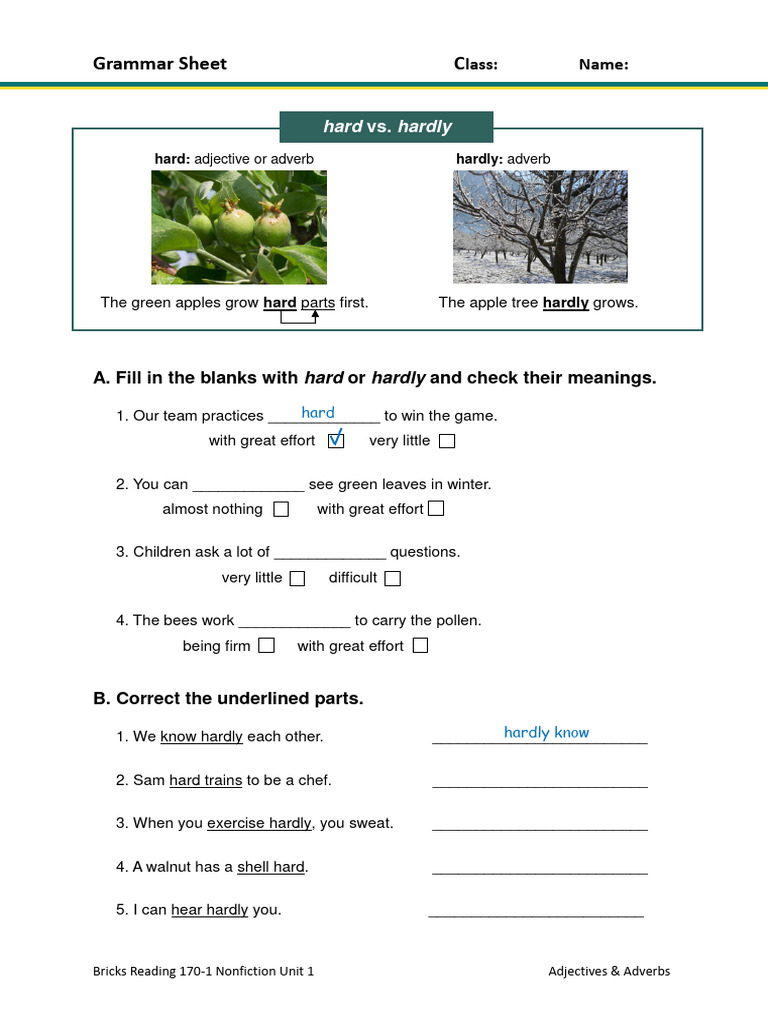 Bricks Reading 170 Nonfiction_L1_Grammar Sheet | PDF | Clause | Verb