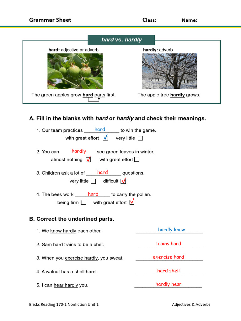 Bricks Reading 170 Nonfiction - L1 - Grammar Sheet - Answer Key | PDF ...