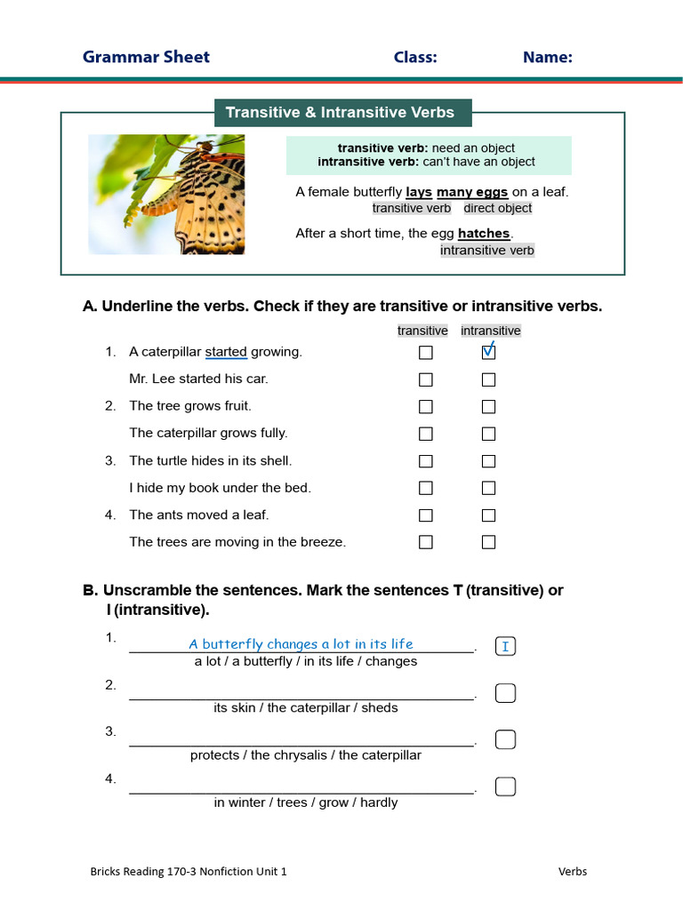 Bricks Reading 170 Nonfiction - L3 - Grammar Sheet | PDF | Verb ...