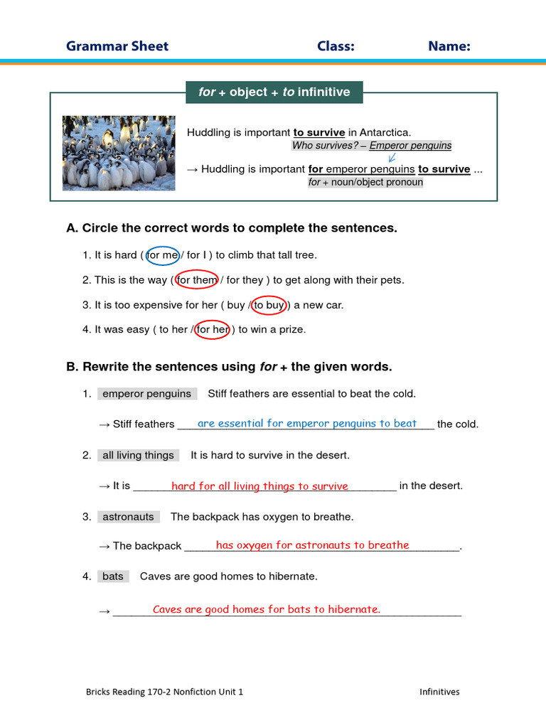 Bricks Reading 170 Nonfiction - L2 - Grammar Sheet - Answer Key | PDF ...