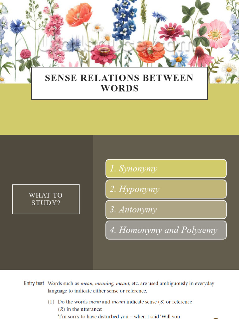 Sense Relations Between Words | PDF | Lexical Semantics | Cognitive Science
