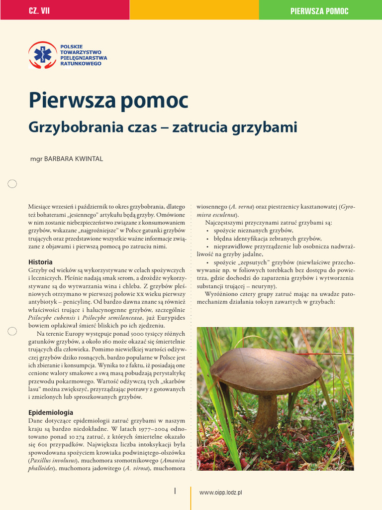 Zatrucia Broszura | PDF