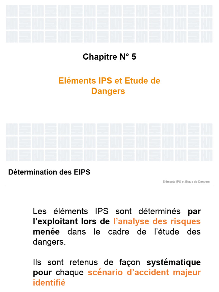 Identification des Éléments IPS en Sécurité | PDF | Risque | Sécurité
