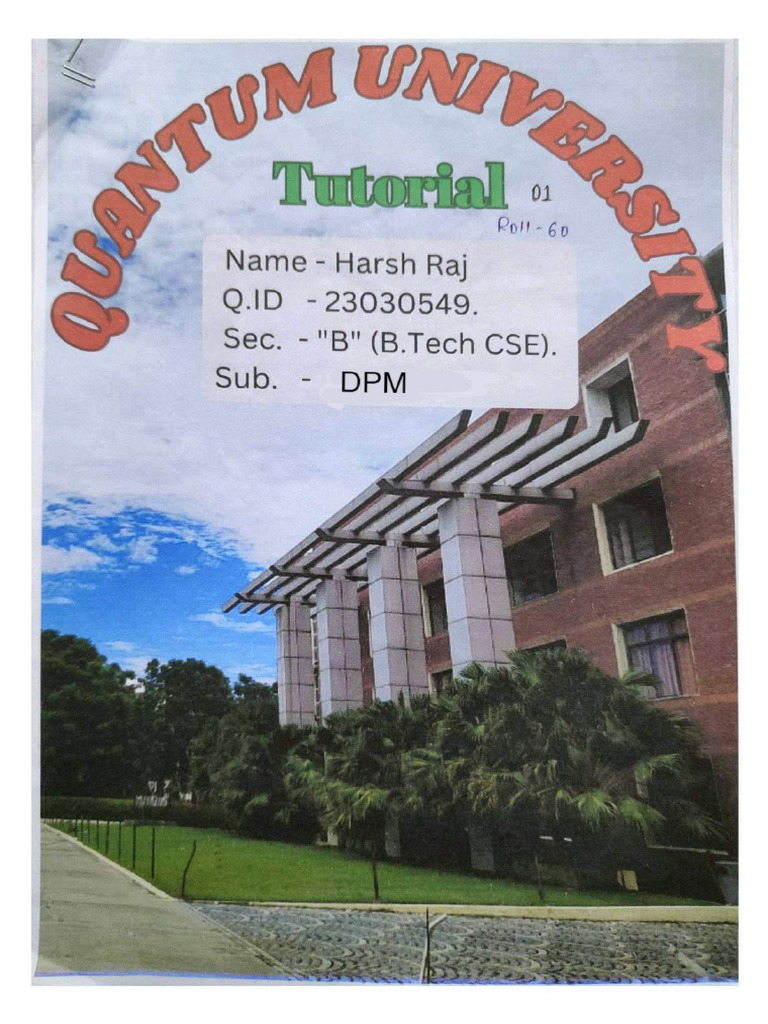 DPM 1 Compressed | PDF