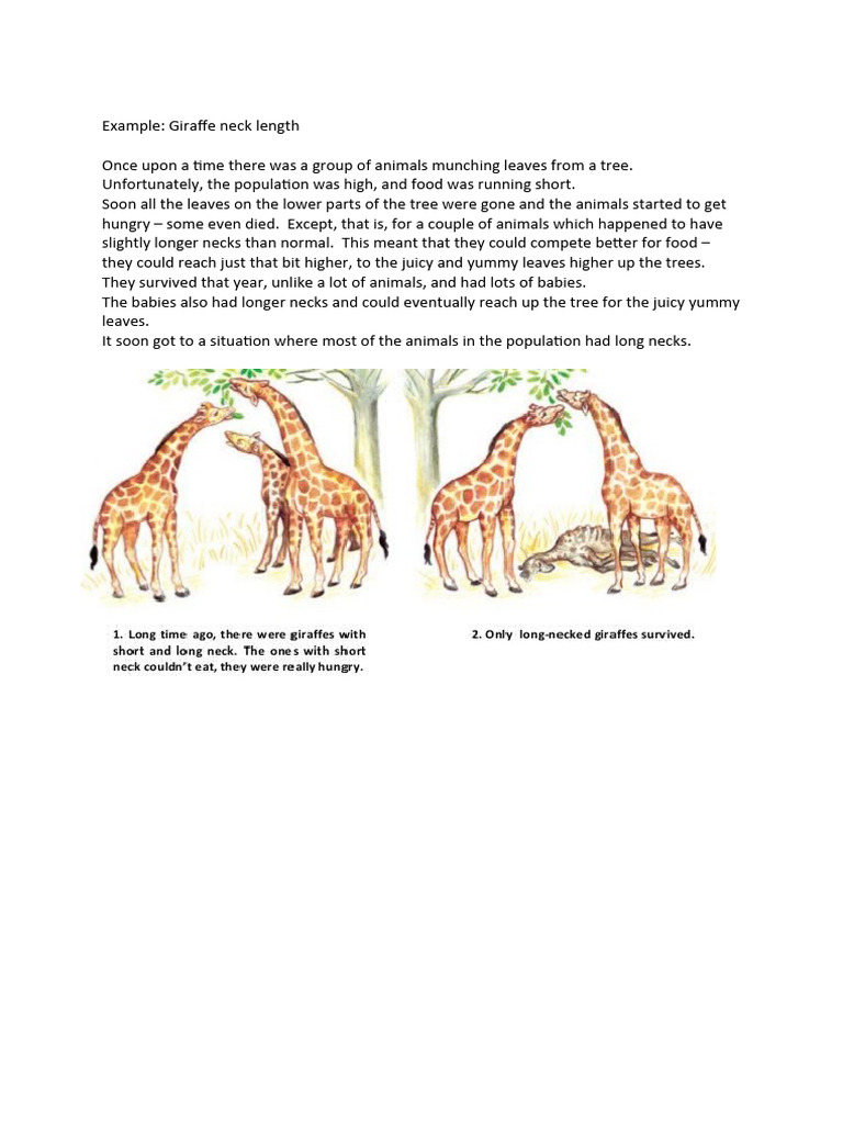 Example Giraffe Neck | PDF