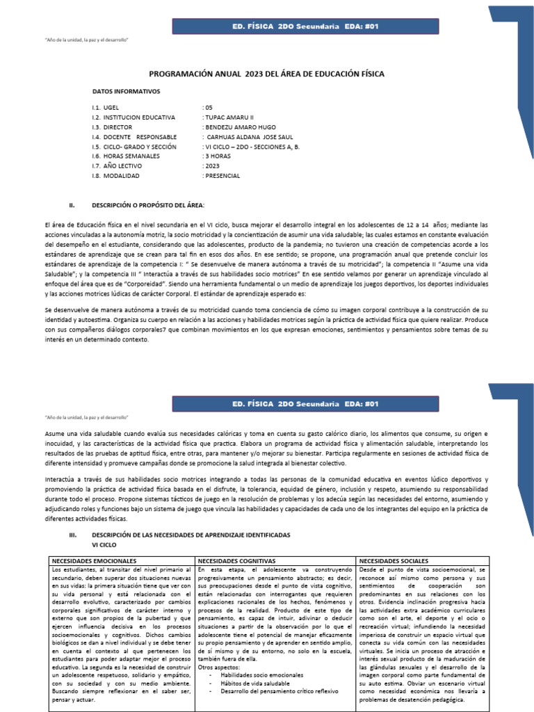 Plan Anual 2do | PDF | Enseñando | Pensamiento