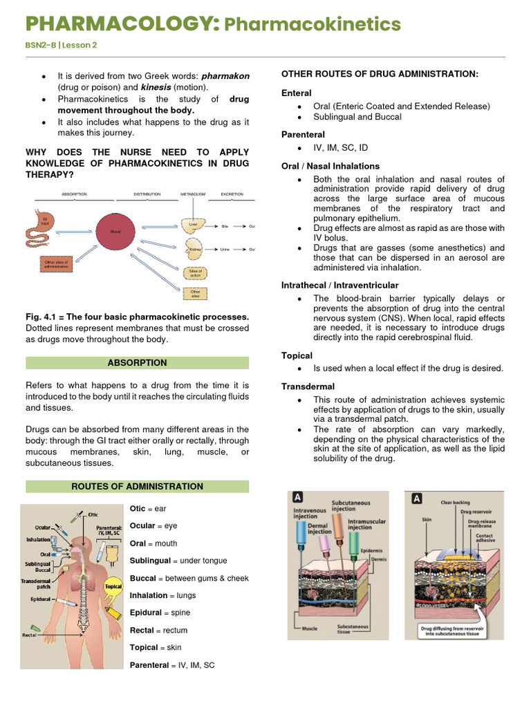 Pharma Lesson 2 | PDF | Pharmacokinetics | Health Care