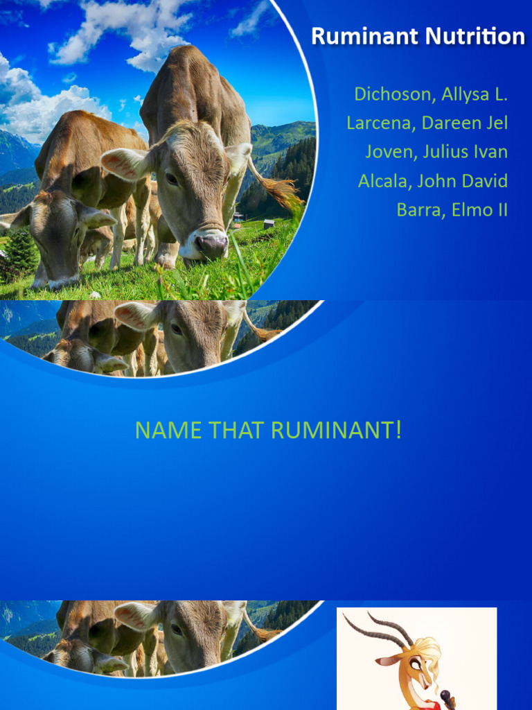 Ruminant Nutrition | PDF | Selenium | Ruminant