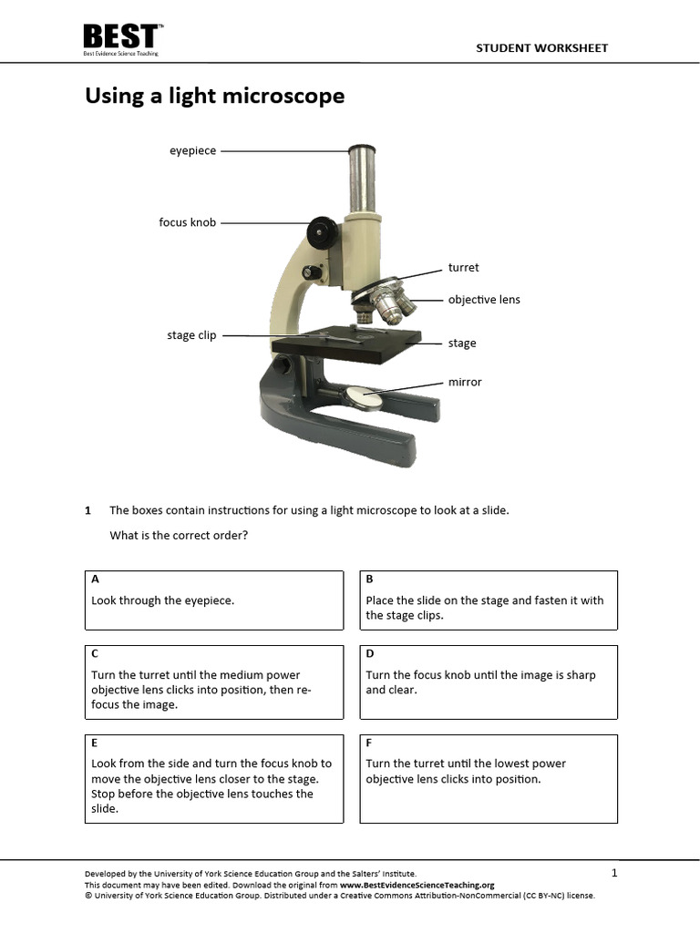 BEST - BCL - 1 - 2 - Diagnostic - Using A Light Microscope | PDF ...