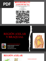 Región Axilar Resumen Prrre | PDF | Tórax | Anatomía humana
