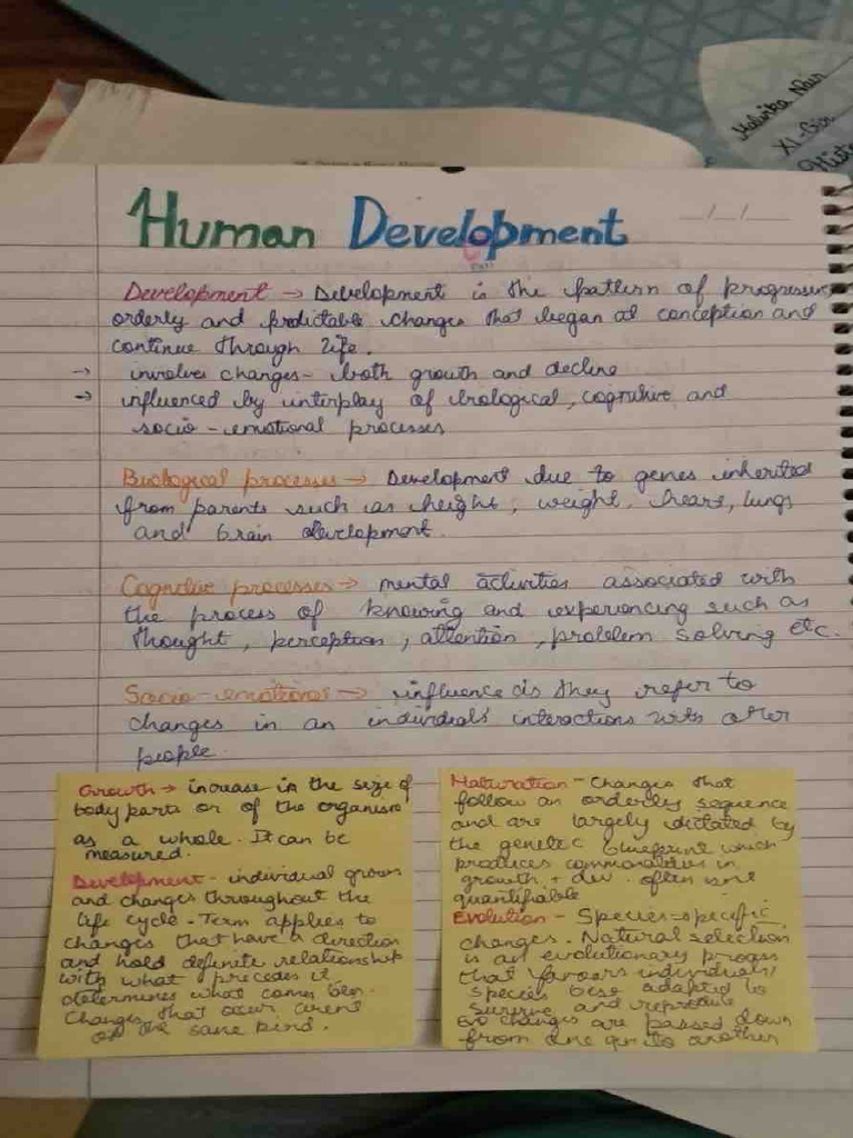 Psychology - Human Development Notes | PDF