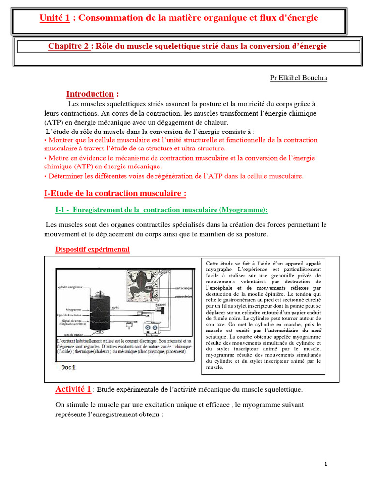 Myographie et contraction musculaire | PDF | Muscle squelettique ...