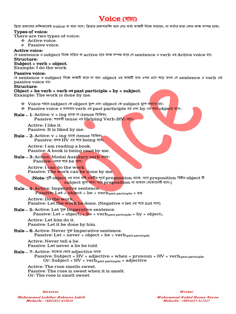 Voice | PDF