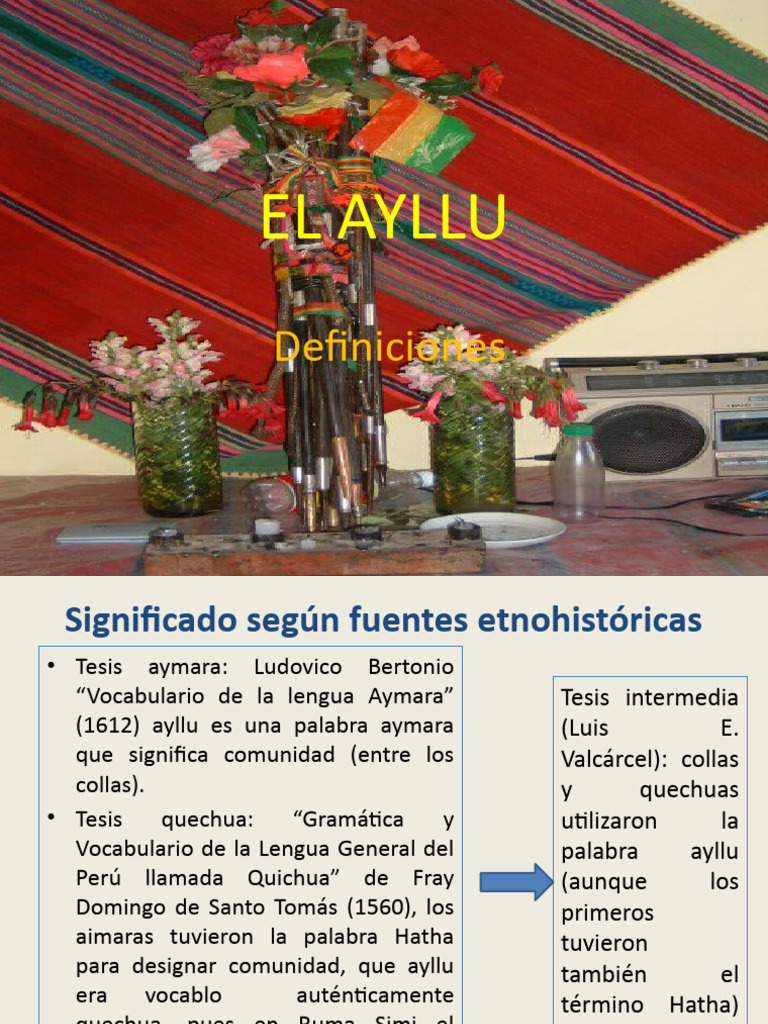04 Definiciones de Ayllu | PDF | Parentesco | Andes