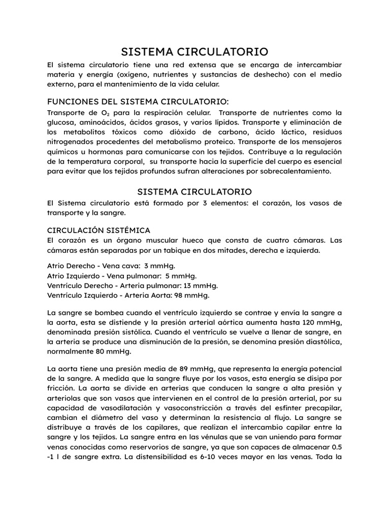 Sistema Circulatorio | PDF | Sistema circulatorio | Corazón