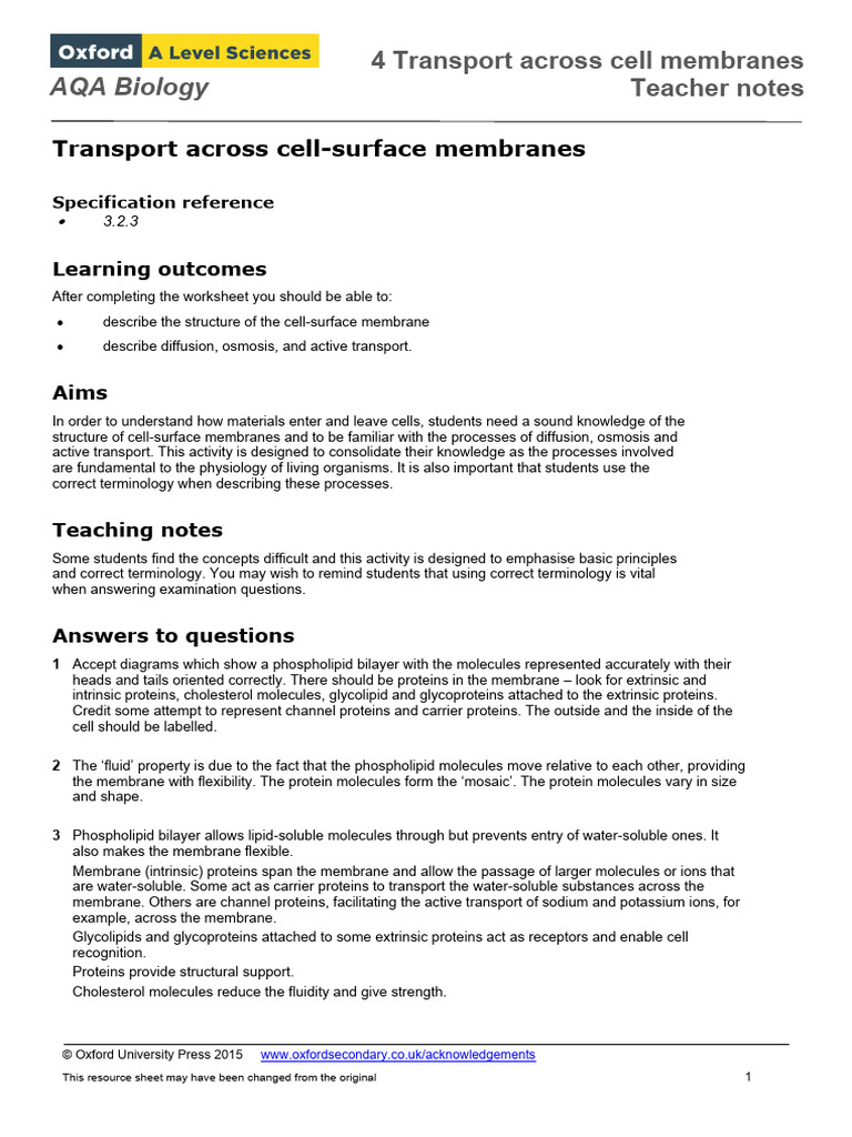 Plasma Membranes Sheet Answers | PDF | Cell Membrane | Diffusion